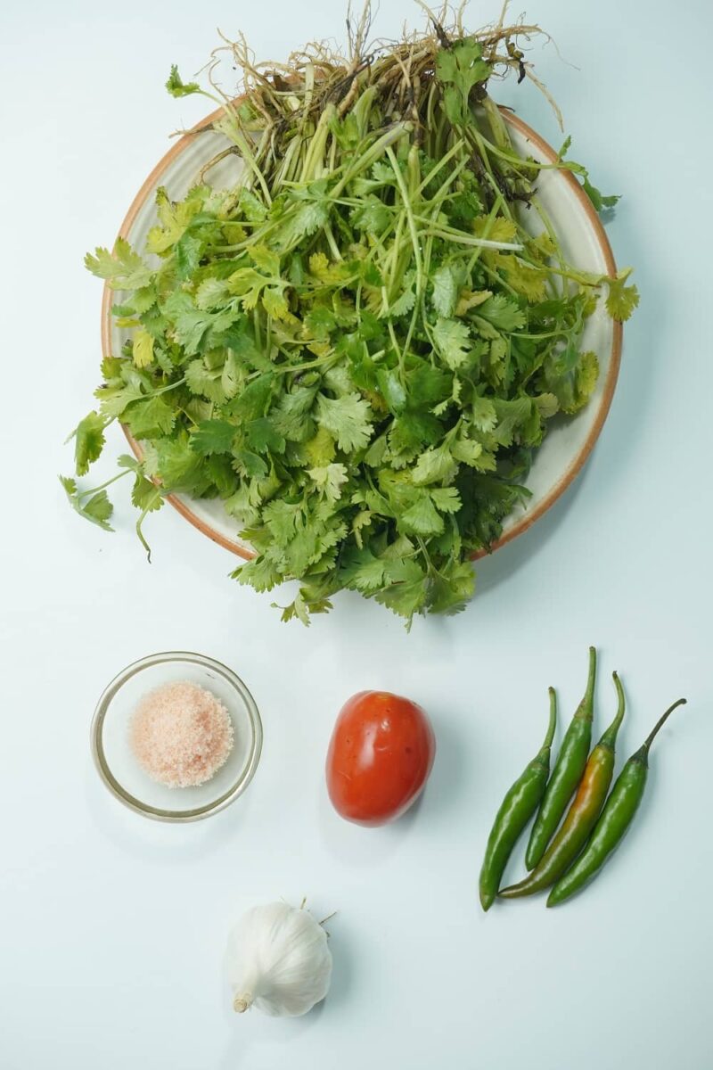 Fresh Indian Cilantro Chutney