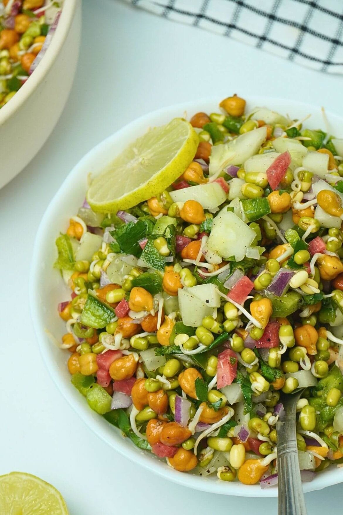 Fresh Sprouted Lentil & Chickpea Salad